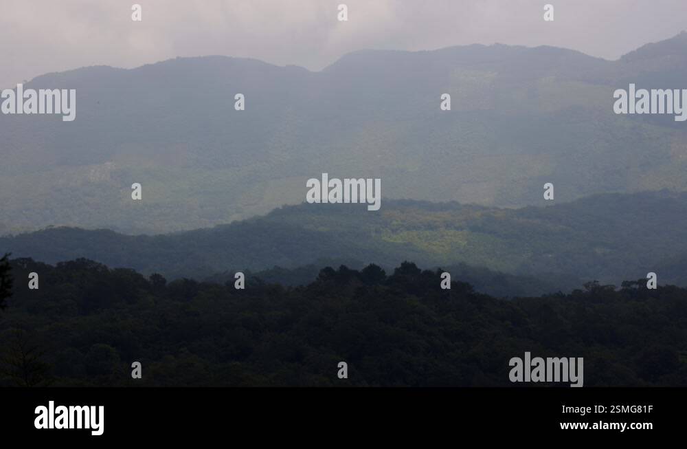 Shadow in mist Stock Videos & Footage - HD and 4K Video Clips - Alamy