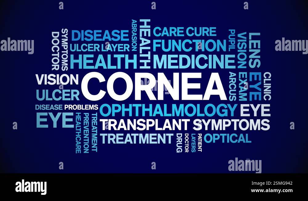 Cornea animated word cloud,animation tag text kinetic typography ...
