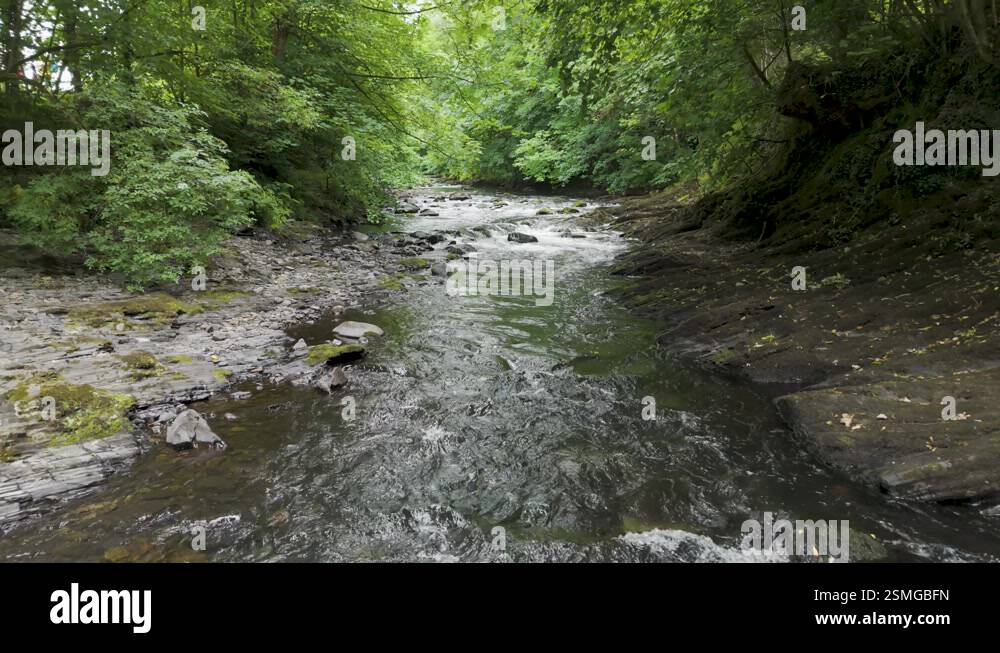 Aerial pull out view of the River Tavy surrounded by lush greenery and ...