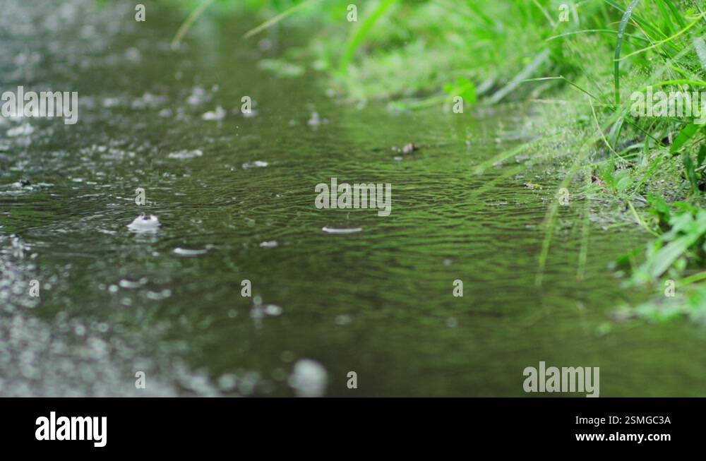 Rainfall droplets bouncing, heavy deluge, tropical seasonal climate ...