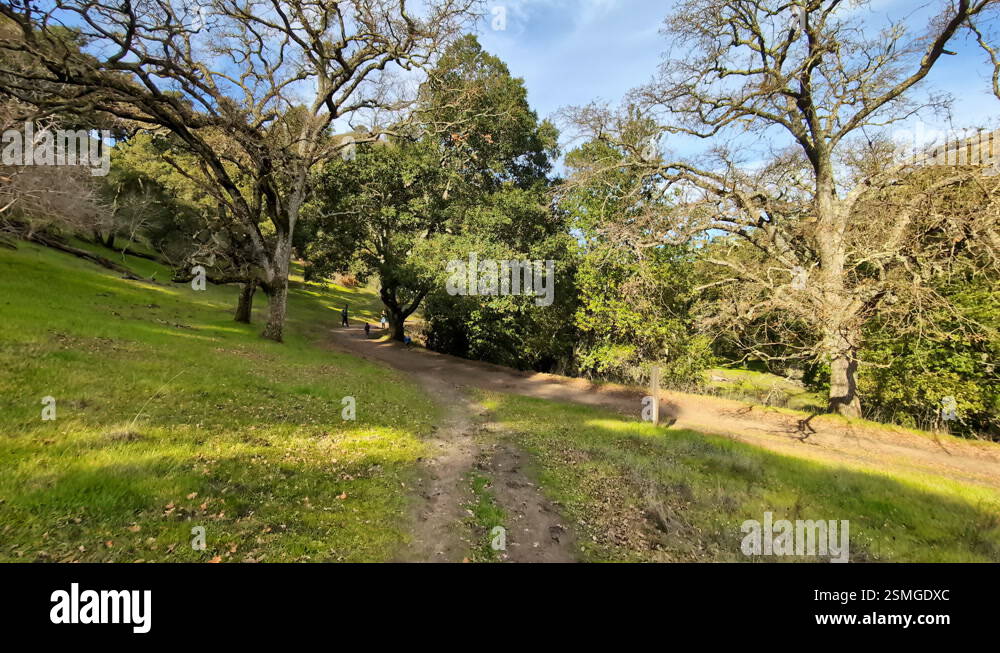 Regional flora and fauna Stock Videos & Footage - HD and 4K Video Clips ...