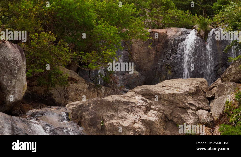 Beautiful Jungle Waterfalls And Gushing River Streams Bringing Life ...