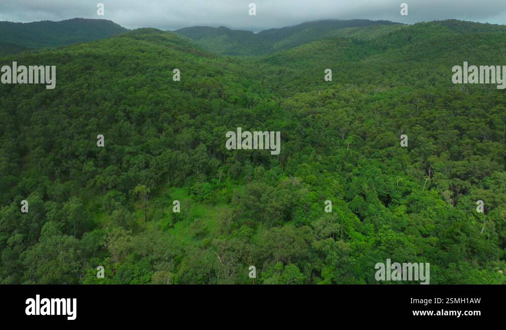 Cedar Creek Falls Reserve aerial drone Australia outback Aussie forest ...