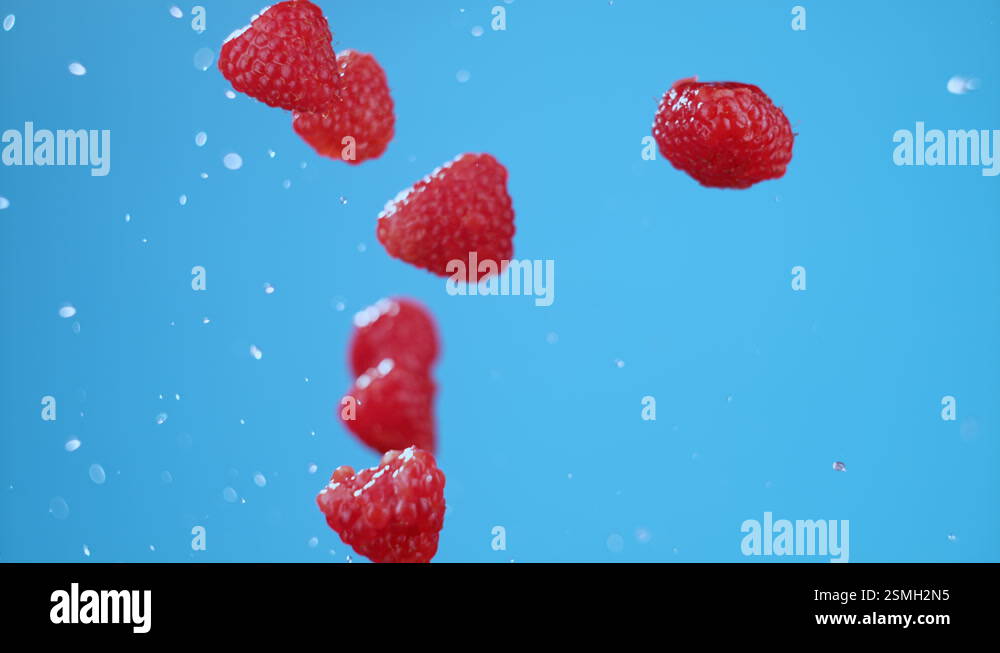 Seven raspberries launched in air, flying and spinning with water. High ...