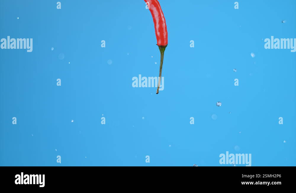 Single small red chili pepper flying mid-air, spinning and leaving a ...