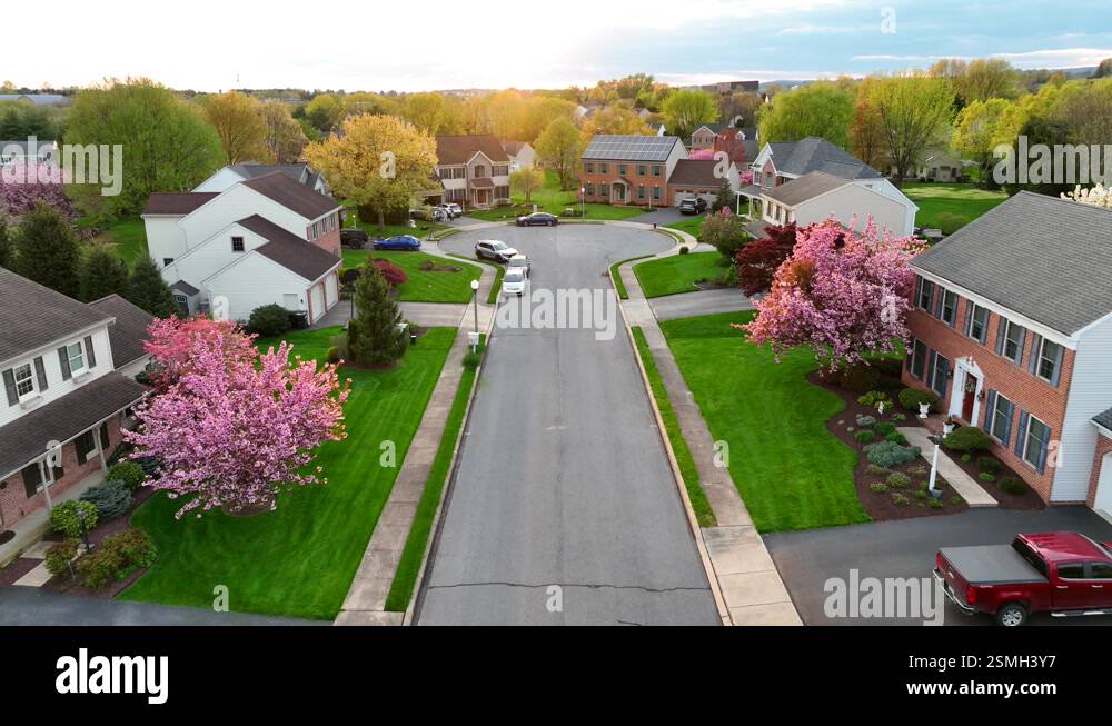 Suburban cul-de-sac with houses and parked cars. Green lawns and spring ...