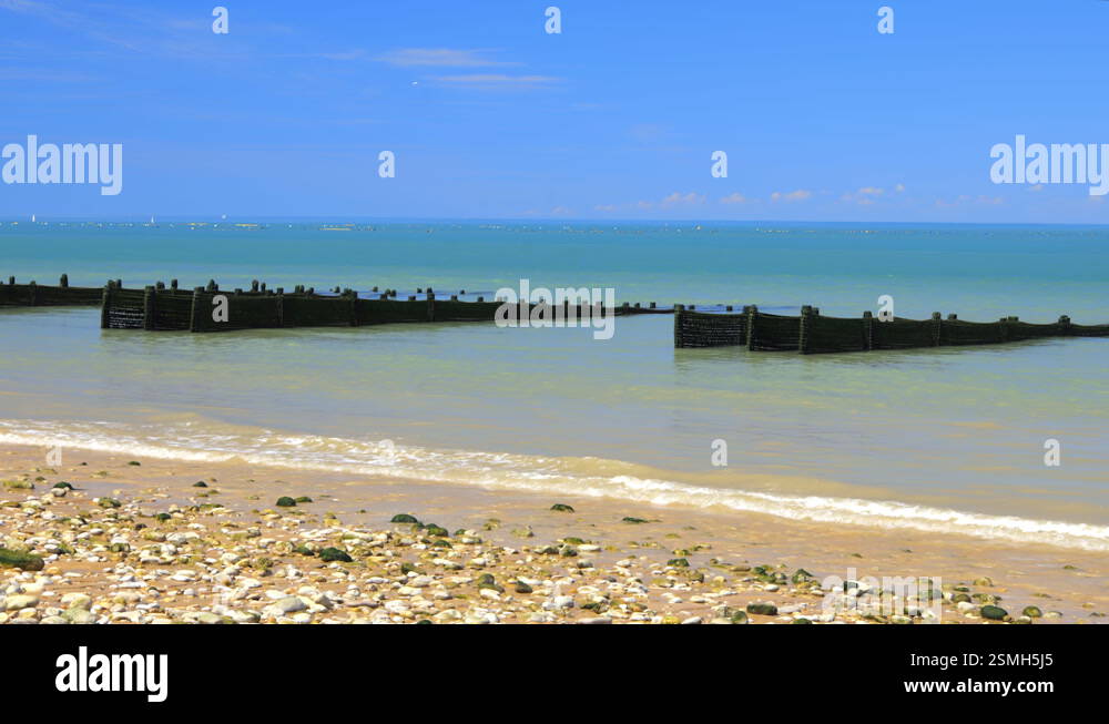 Bouchot wooden sticks along the Saumonards beach to raise mussels in ...