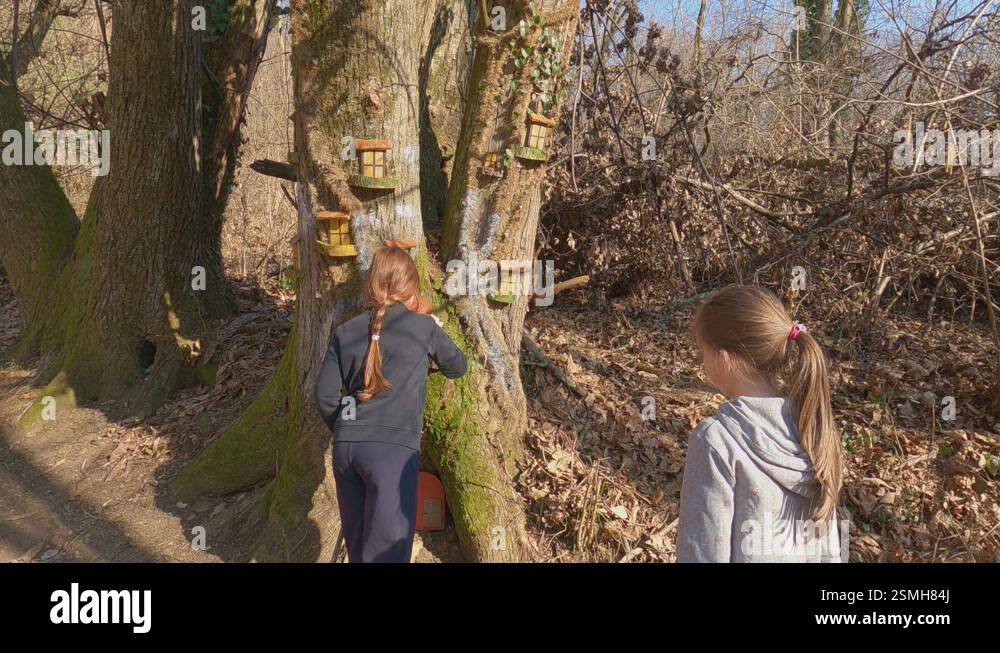 Little kids playing with fairy elven houses built on tree trunk at ...