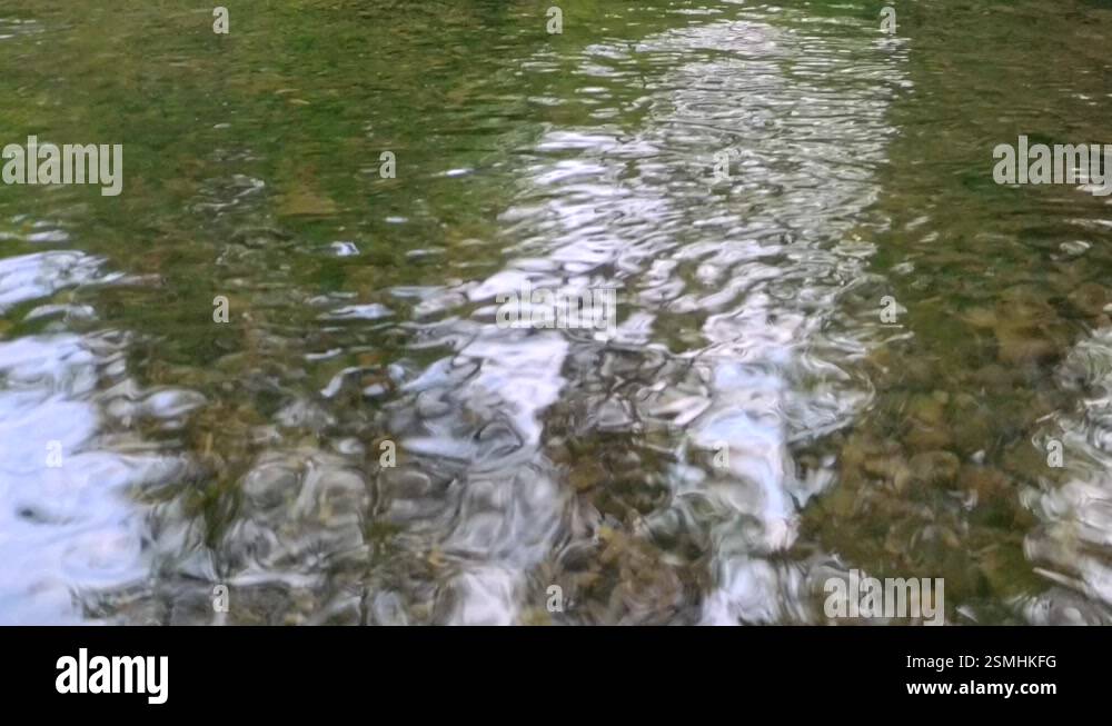 Riverbiology Stock Videos & Footage - HD and 4K Video Clips - Alamy