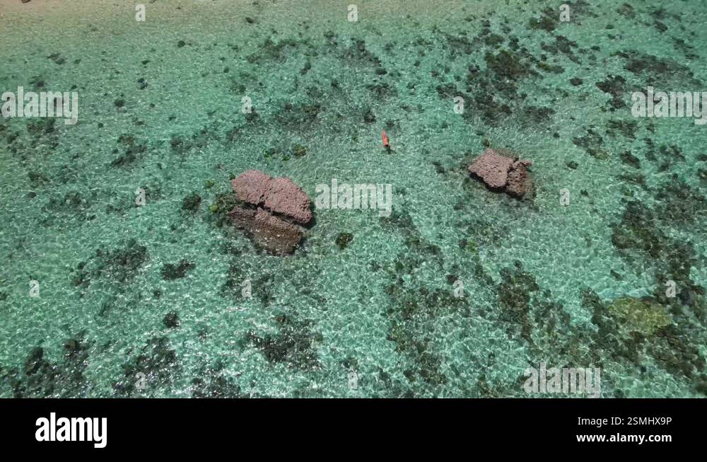 Oysterstacksningalooreef Stock Videos & Footage - HD and 4K Video Clips ...