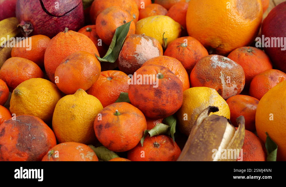 Rotting fruits Stock Videos & Footage - HD and 4K Video Clips - Alamy
