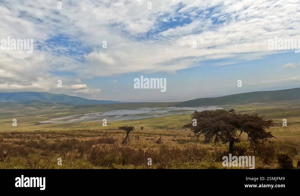 Birdwatching ngorongoro Stock Videos & Footage - HD and 4K Video Clips ...