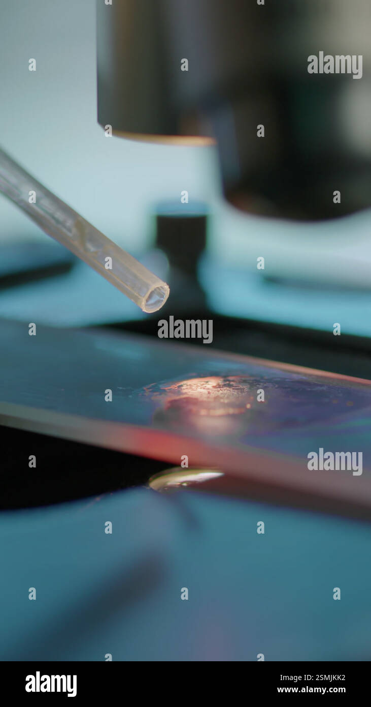 Two Drops of Chemical Solution Added to Cell Sample under Microscope ...