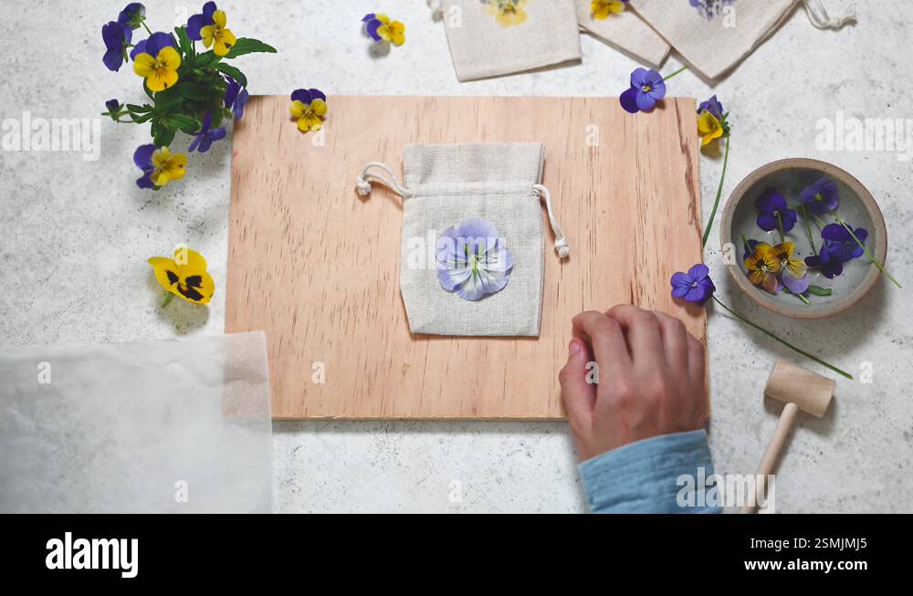 What is step flower Stock Videos & Footage - HD and 4K Video Clips - Alamy