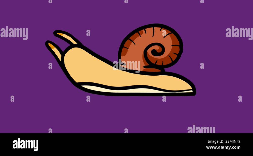 Shell illustration snail cartoon Stock Videos & Footage - HD and 4K ...