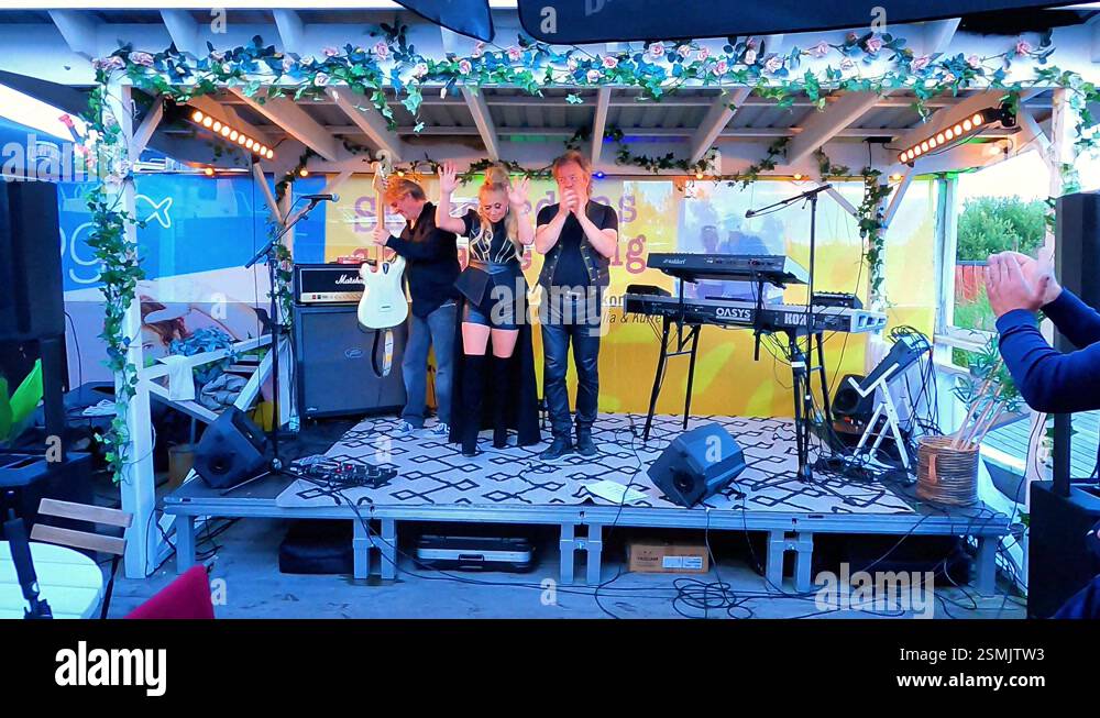 Sweden band Stock Videos & Footage - HD and 4K Video Clips - Alamy