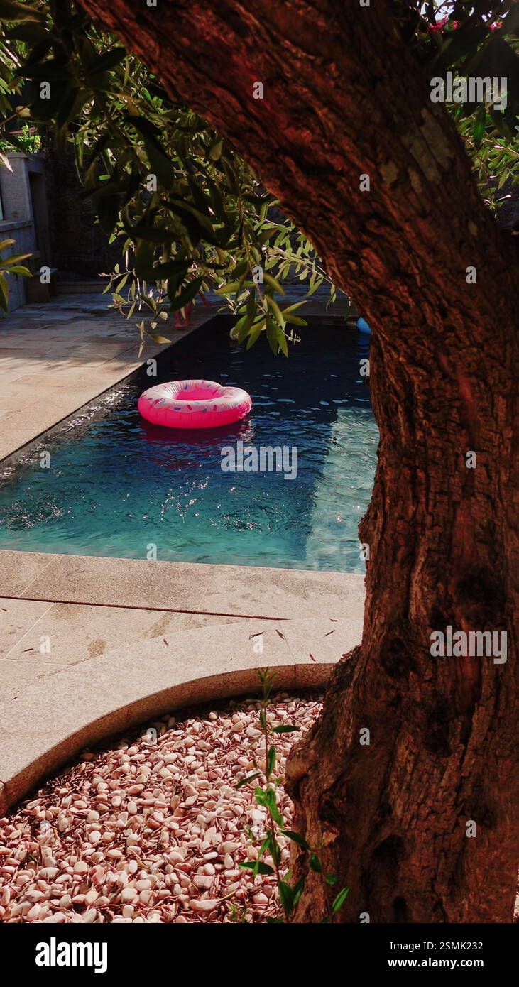 A shot hidden behind an olive tree where we see a doughnut-shaped ...