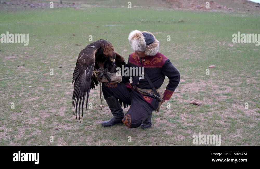 Eagle trainer Stock Videos & Footage - HD and 4K Video Clips - Alamy