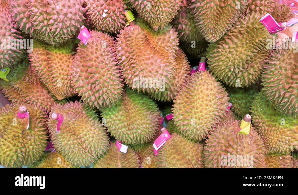 Bird's eye view of durian, a native fruit of Southeast Asia known for ...