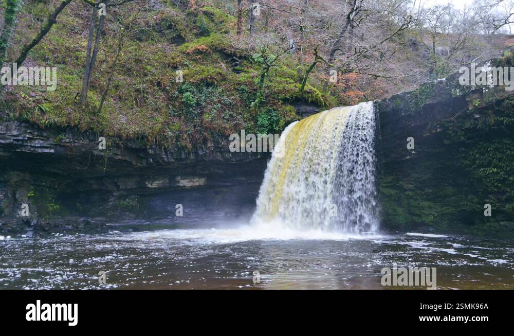 Lady falls Stock Videos & Footage - HD and 4K Video Clips - Alamy