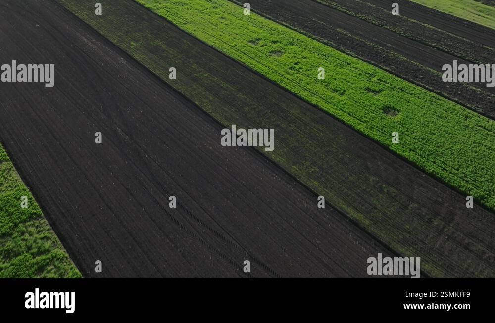 Borders patterns Stock Videos & Footage - HD and 4K Video Clips - Alamy