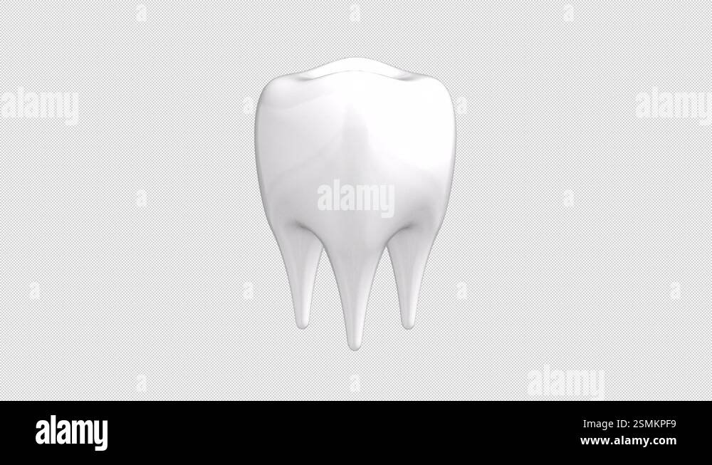 3D Rotating Tooth on a Transparent Background. Glossy Tooth. 4K Stock ...