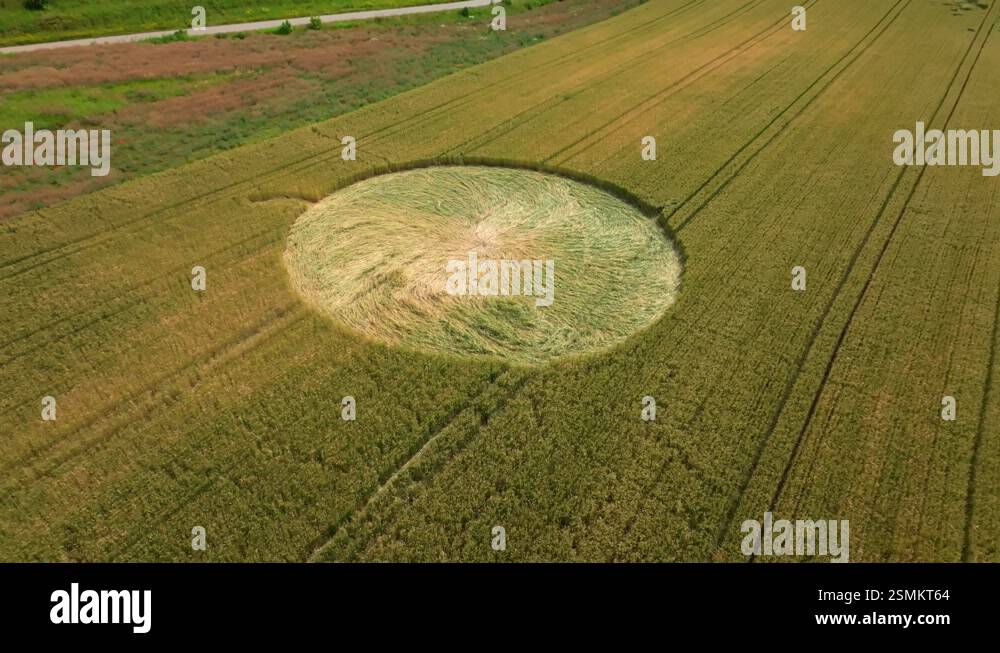 Crop circle in cornfield Stock Videos & Footage - HD and 4K Video Clips ...