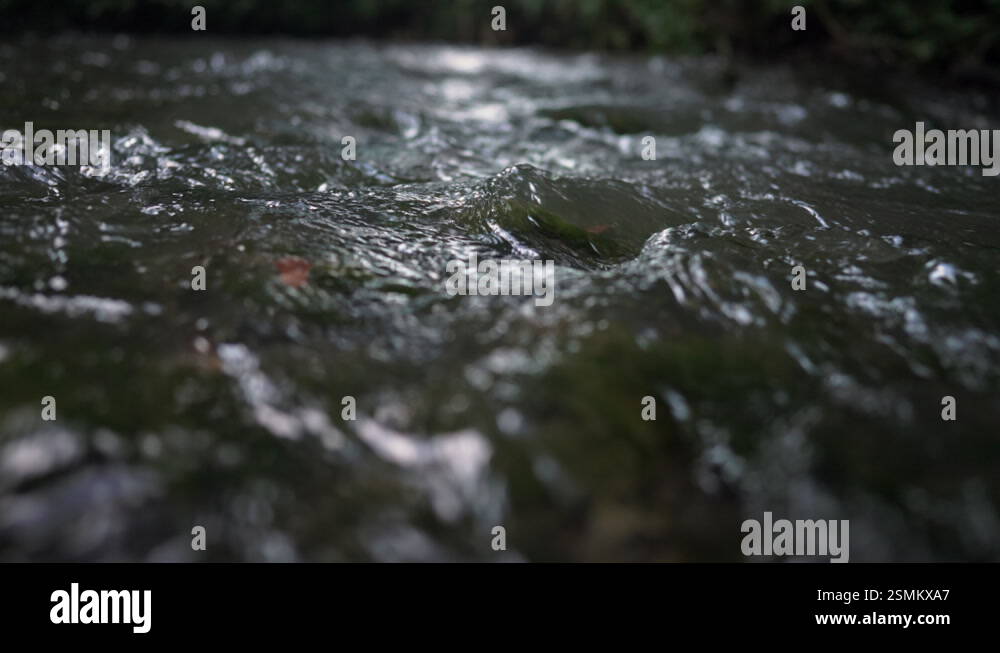 Wild river flow, beautiful water stream background. Summer, romantic ...