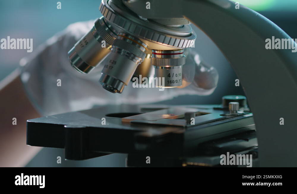 Specimen table Stock Videos & Footage - HD and 4K Video Clips - Alamy