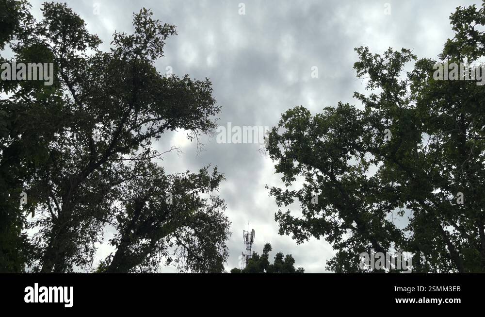 Cell tower silhouette Stock Videos & Footage - HD and 4K Video Clips ...