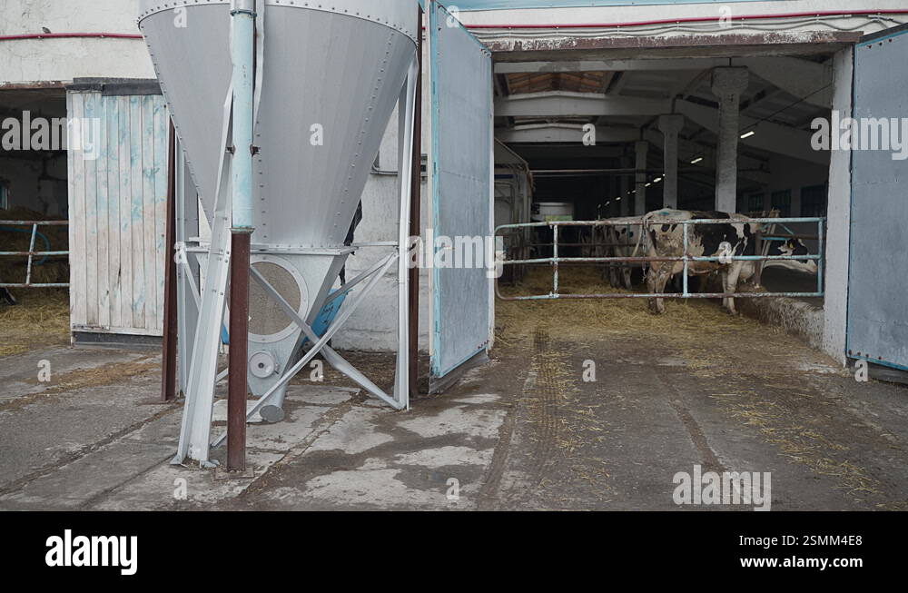 Animal gates Stock Videos & Footage - HD and 4K Video Clips - Alamy