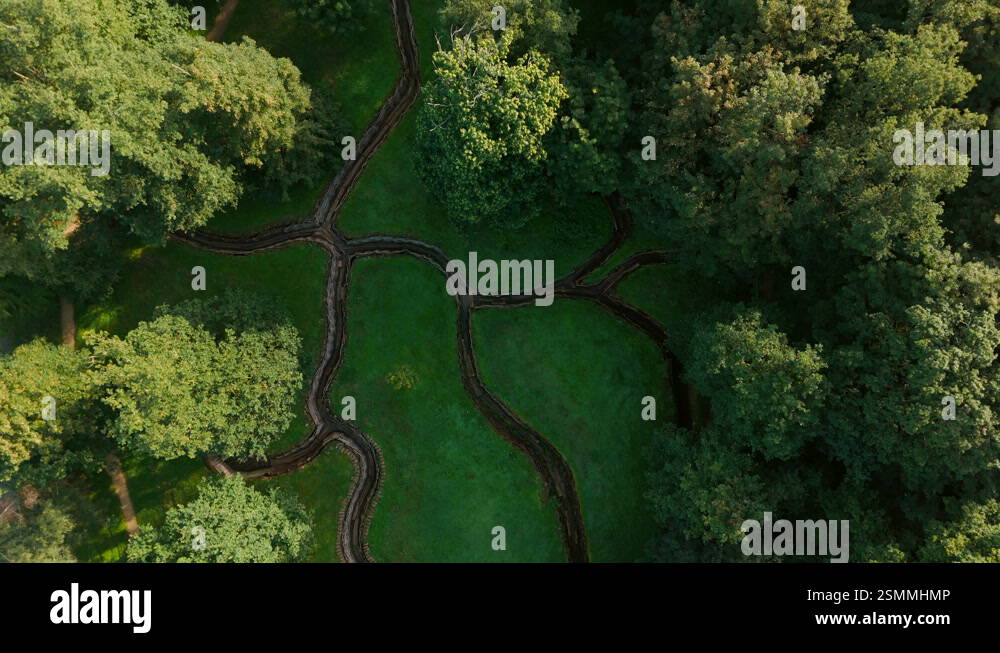 Top-Down Aerial of War Trenches from WW1 in Green Forest with Trees ...