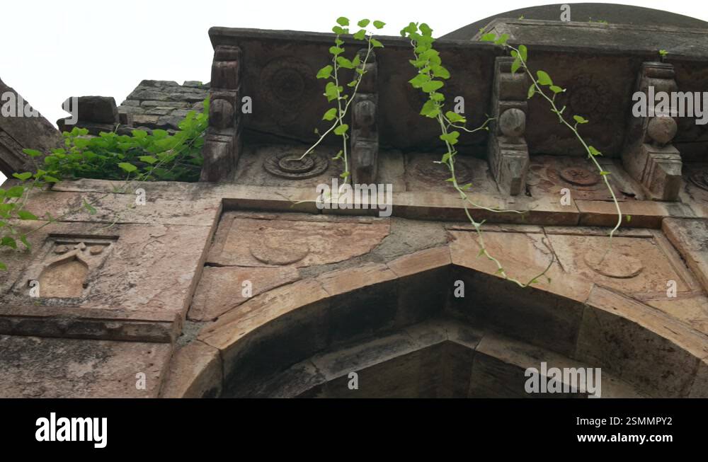 India MP Mandu Hathi mahal group Hathi mahal Carvings Stock Video ...