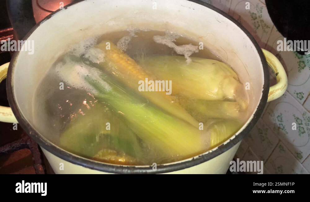 Boiled large corn Stock Videos & Footage - HD and 4K Video Clips - Alamy