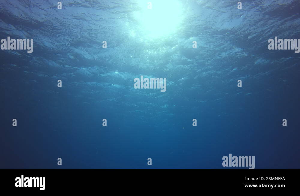 Sun and sun beams on surface of water with waves. Underwater background ...