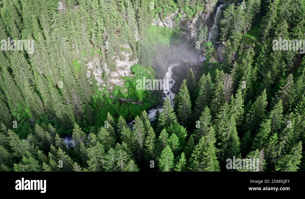 Cascate del rutor waterfall hidden within dense green forest in the ...