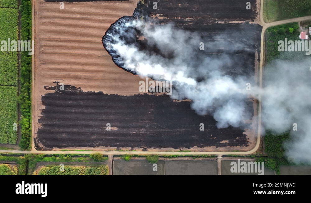 Slash and burn farming fire Stock Videos & Footage - HD and 4K Video ...