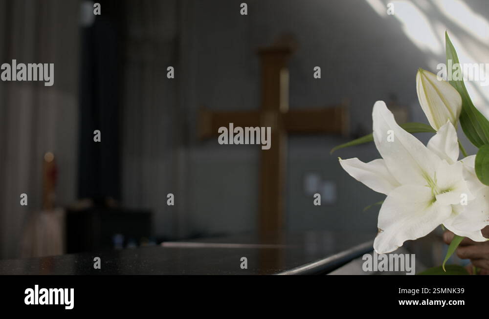 Coffin man black white Stock Videos & Footage - HD and 4K Video Clips ...