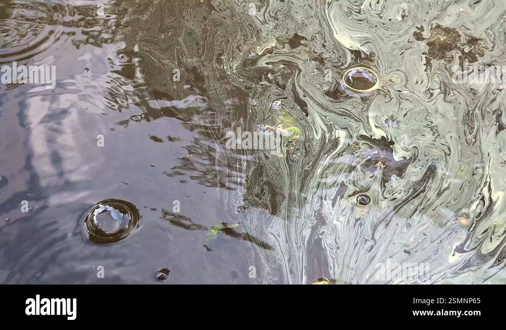 Oil contamination on marsh Stock Videos & Footage - HD and 4K Video ...