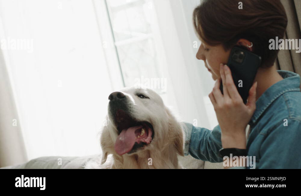 Busy home office Stock Videos & Footage - HD and 4K Video Clips - Alamy