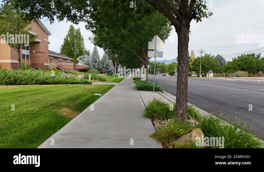 Tree lined pavement Stock Videos & Footage - HD and 4K Video Clips - Alamy