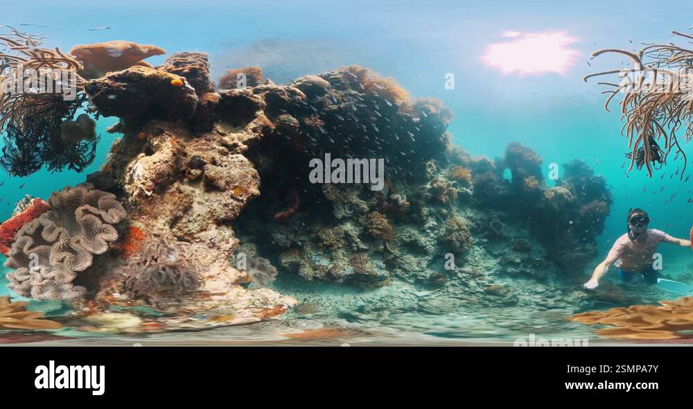 VR 360 underwater footage of the male freediver swimming on the healthy ...