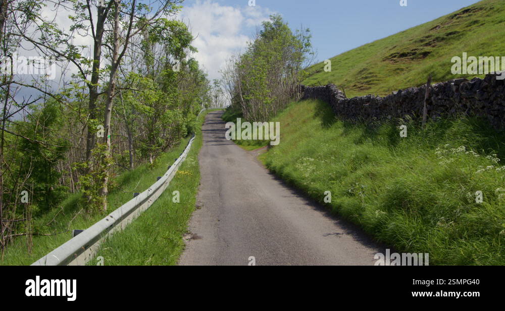 wide shot looking up siggate Road with silver Birch and grasslands ...