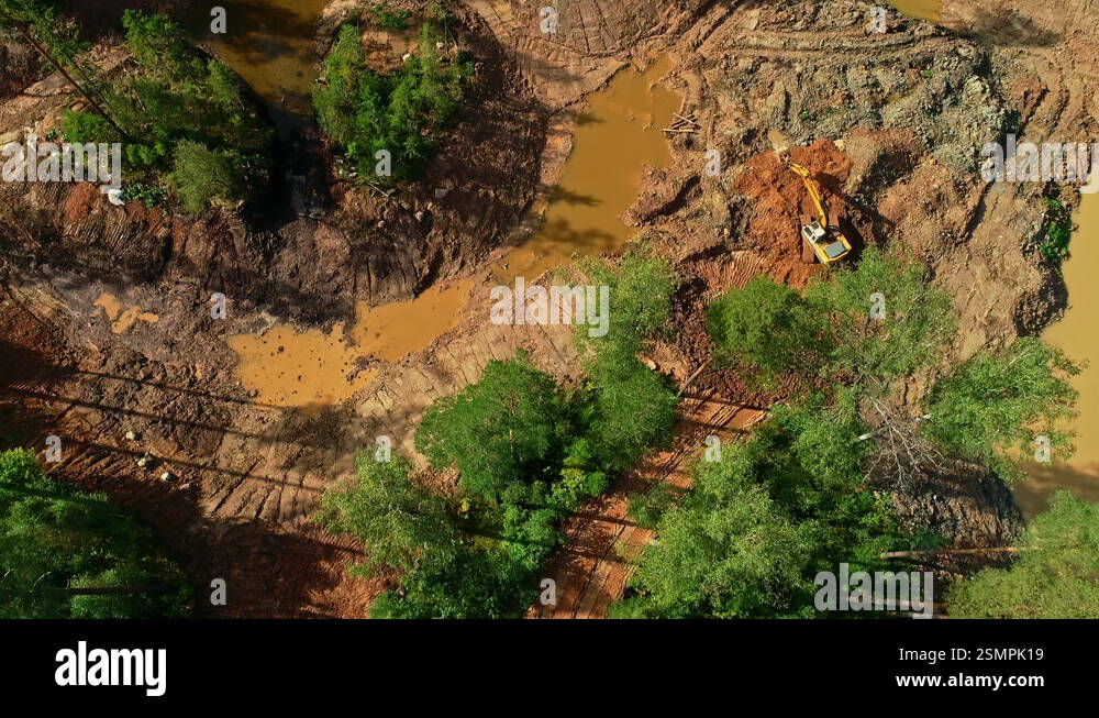 The effects of deforestation Stock Videos & Footage - HD and 4K Video ...