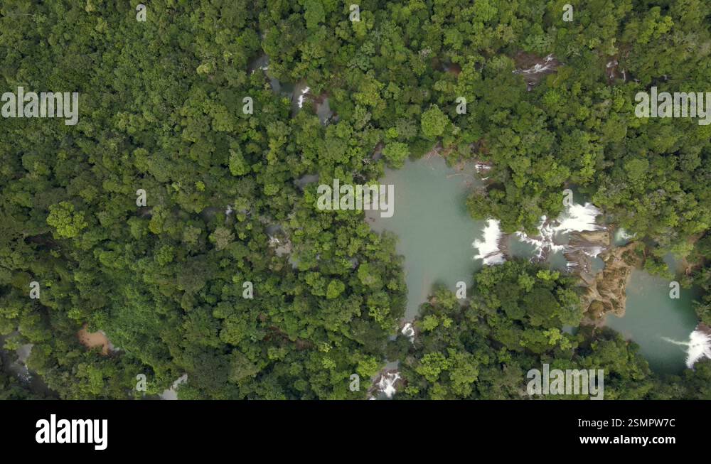 Tropical jungle forest, Mexico Chiapas national park, Roberto Barrios ...