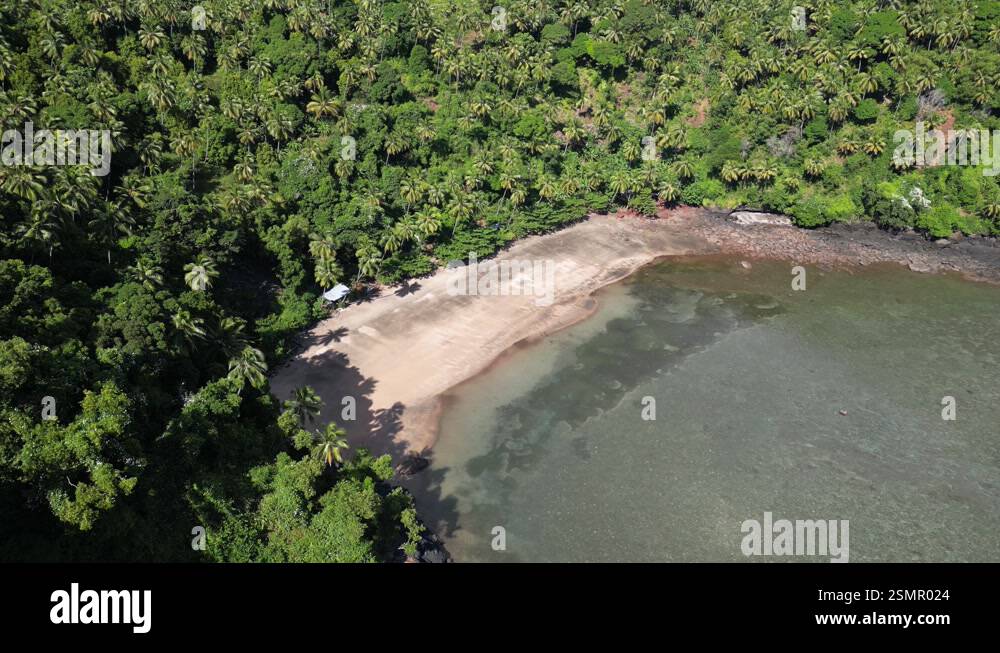 A secluded beach surrounded by lush forest on anjouan island, comoros ...