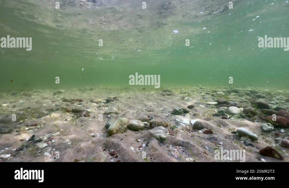 Sandy bottom shaped by waves in the shallow coastal waters of Lake ...