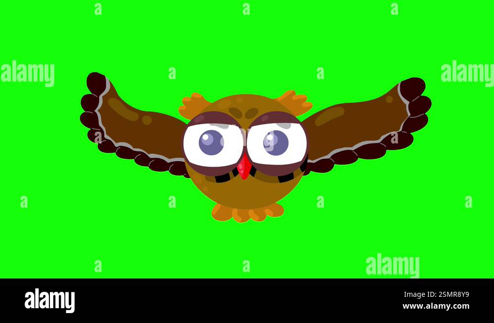 Cartoon flying owl blinking animation isolated on greenbox Stock Video ...