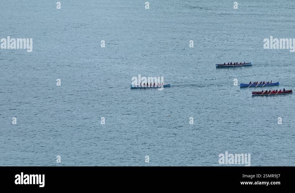 Rowing boat regatta Stock Videos & Footage - HD and 4K Video Clips - Alamy