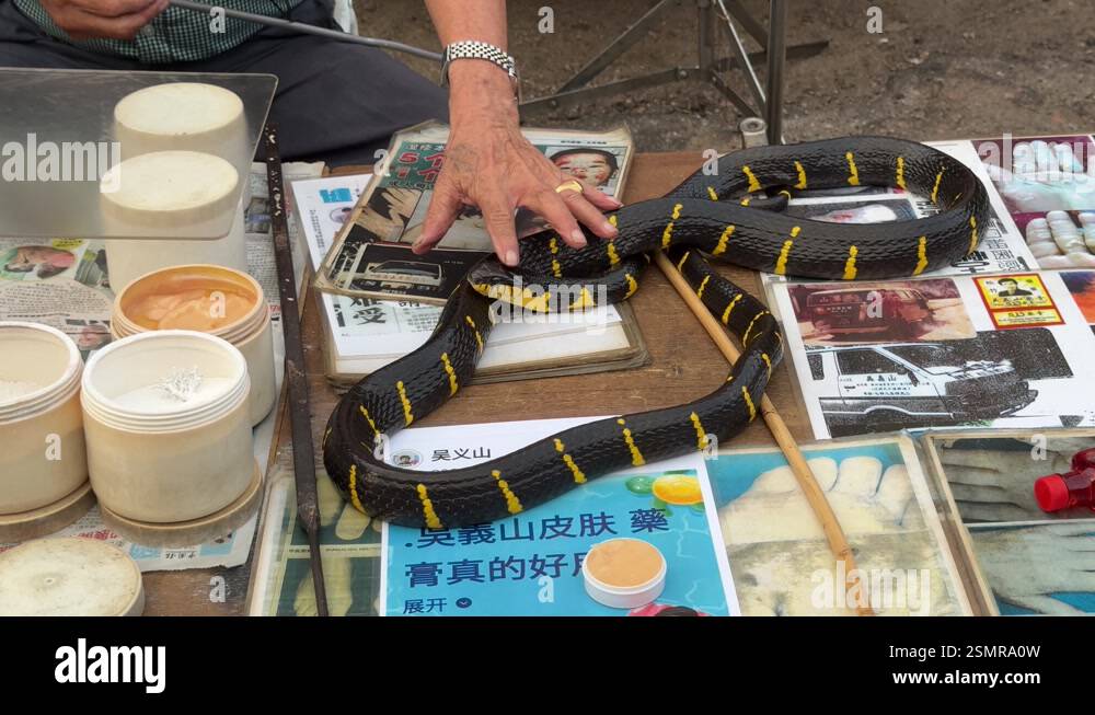 Johor Bahru, Malaysia - 07/30/2024: Vendors pet the snake head and ...